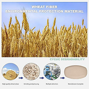 Hobein 6 Pack 11 inch Wheat Straw Dinner Plates - Dishwasher & Microwave Safe Lunch Plates Reusable Eco-friendly Lightweight Unbreakable Dirt-resistant Easy Clean