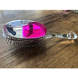 Unique Stocking Stuffer-Novelty Hair Brush for Girls and Boys - Perfect Gift for Child- with Rubber Fish,Ducks,Lady Bug Floating in Liquid- Gifts for Men, Women- Emoji, Puzzle,Birthday,Toys for Kids,