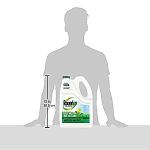 Roundup For Lawns1 Refill (Northern), 1.25 gal. - Lawn Safe Weed Killer For Northern Lawns - Kills Crabgrass, Dandelion, Clover and Yellow Nutsedge - Kills Weeds, Not the Lawn