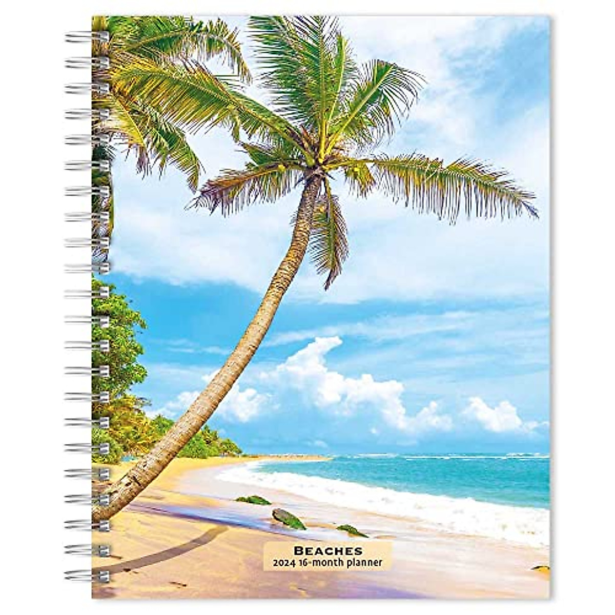 Beaches | 2024 6 x 7.75 Inch Spiral-Bound Wire-O Weekly Engagement Planner Calendar | New Full-Color Image Every Week | BrownTrout | Travel Nature Tropical