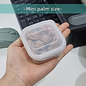 defutay 3 PCS Mini Food Storage Container,Leakproof Plastic Condiment and Sauce Containers with Lids