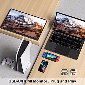 NIUTO Portable Monitor for Laptop 15.6 inch 1080p IPS 72 sRGB FHD 1920x1080 HDMI or USB C Computer VESA Display Travel Screen for MAC Mini MacBook Andriod Phone Xbox ps5 steam Deck Switch Monitor