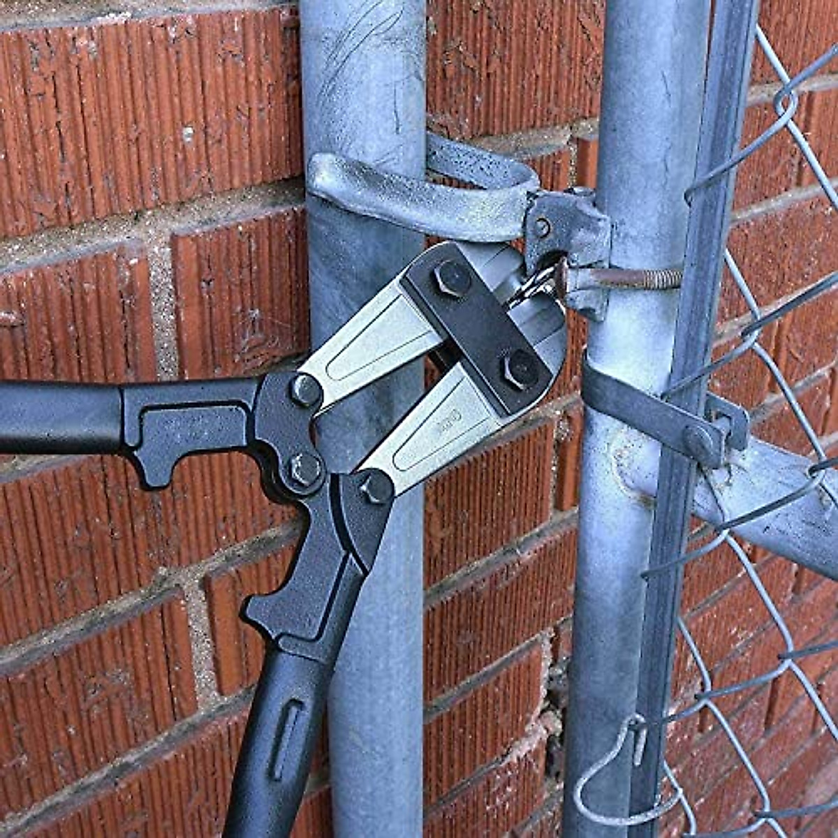 RIDGID 14228 Model S30 Heavy-Duty Bolt Cutter, 31”, Red & WORKPRO W017004A Bolt Cutter, Bi-Material Handle with Soft Rubber Grip, 14", Chrome Molybdenum Steel Blade