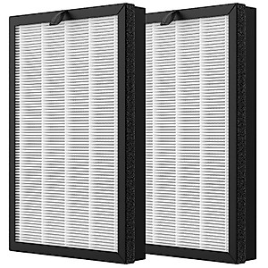 2 Pack H05 Replacement Filter, Compatible with HIMOX H05 Air Puri fier, H13 Grade True HEPA Filter (Not Fit HIMOX H04)