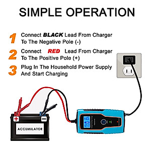VERSAINSECT rger Fully-Automatic Smart 6-Amp 12V and 24V, Battery Maintainer Trickle Charger, and Battery Desulfator with Temperature Compensation