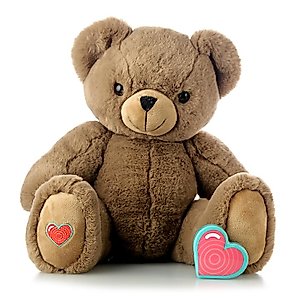 My Baby's Heartbeat Bear Recordable Stuffed Animals 20 sec Heart Voice Recorder for Ultrasounds and Sweet Messages Playback, Perfect Gender Reveal for Moms to Be, Cocoa Bear
