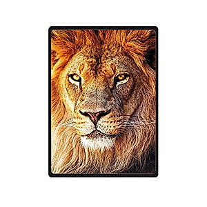 Qihua Printed Lion Throw Blanket Super Soft and Cozy Fleece Feeling Blanket Perfect for Couch Sofa Bed Animal Blanket 150CMx200CM (6)