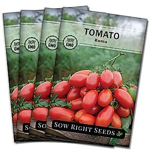 Sow Right Seeds - Roma Tomato Seed for Planting - Non-GMO Heirloom Packet with Instructions to Plant a Home Vegetable Garden - Great Gardening Gift (4)