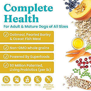 Solid Gold Dry Dog Food for Adult & Senior Dogs - Made with Oatmeal, Pearled Barley, and Fish Meal - Holistique Blendz Potato Free High Fiber Dog Food for Sensitive Stomach & Immune Support - 4 LB