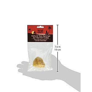 Fluker's Natural Sea Sponge for Hermit Crabs