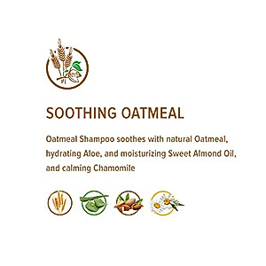 Oatmeal Waterless Foam - Grooming for Dogs and Cats, Soothe Sensitive Skin Formula with Aloe for Itchy Dryness for Pets, pH Balanced, Cruelty Free, Paraben Free, Made in USA