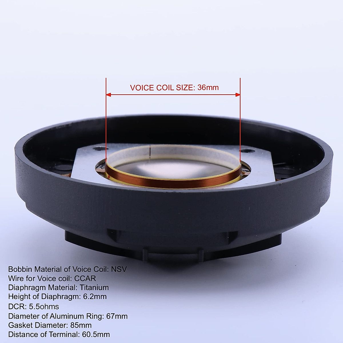 SPATHIPHYLLUM Replacement Diaphragm fits for EV DH-1K Driver, ELX112P & ELX115P Electro Voice Boxes and Live-X Systems