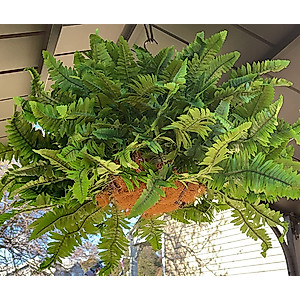 LSKYTOP 4 Pack Artificial Ferns Plants 16Inch Artificial Shrubs Boston Fern Bush Plant Silk Ferns Leaves UV Protected for Home Kitchen Garden Wall Decor Indoor Outdoor Use(Pot is not Include)