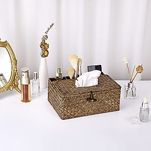 Sumnacon Seagrass Rectangular Tissue Box Cover - Multifunctional Tissue Holder with Stationery Remote Control Box, Decorative Tissue Pen Remote Organizer for Desktop Livingroom Home Office, Caramel