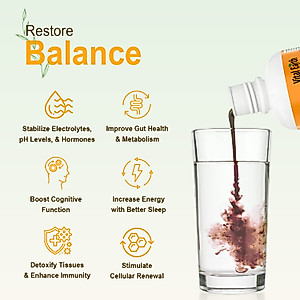 Vital Earth Minerals Fulvic Humic Mineral Blend Liquid 2-Pack – Fulvic Acid Supplement with 70+ Trace Minerals, Electrolytes for Recovery, Balance & Energy, 32 Oz Ea + 1 Oz Cup Ea