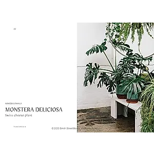 Plantopedia: The Definitive Guide to Houseplants