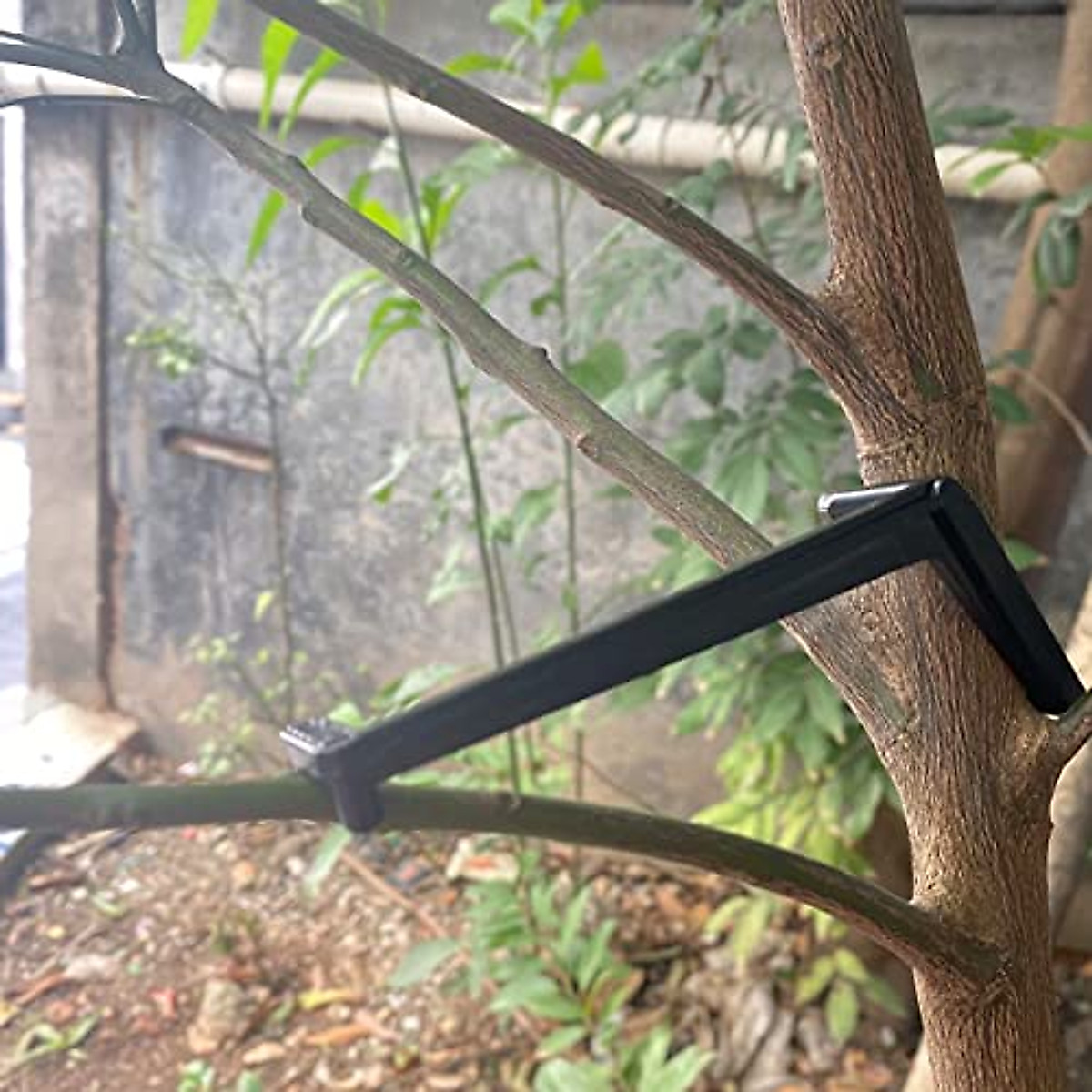 50Pieces Fruit Tree Branch Limb Spreader for Strong Spreading Crotch Angles Branches,Plastic Bonsai Branch Trunk Spreaders Modelling Tool Black