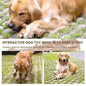 QWKNY Interactive Squeaky Dog Chew Toy - Baseball Bat Shape - for Medium to Large Aggressive Chewers - Non-Toxic, Tough Rubber - Cleans Teeth & Promotes Dental Health - Ideal for Fetch & Play