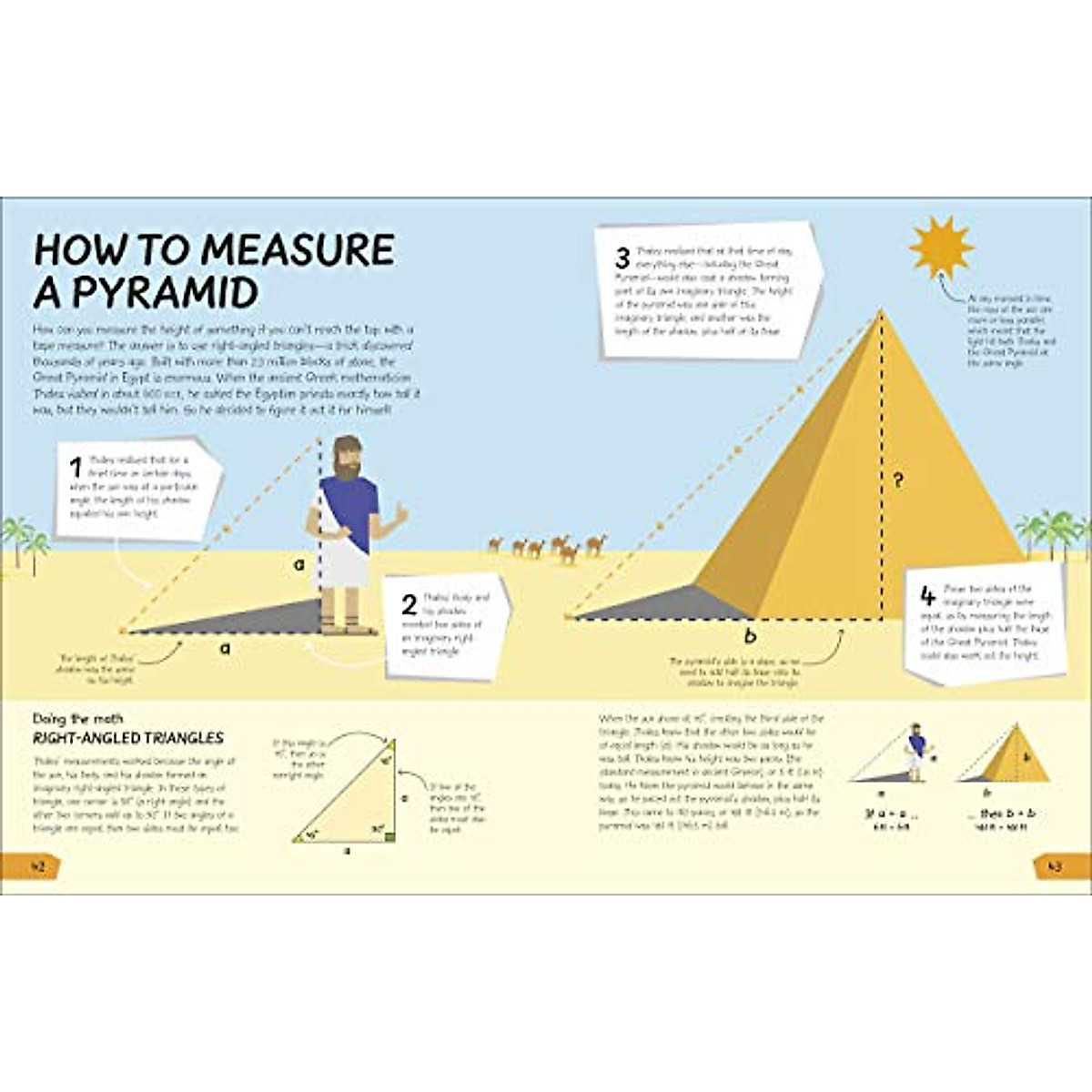 What's the Point of Math? (DK What's the Point of?)