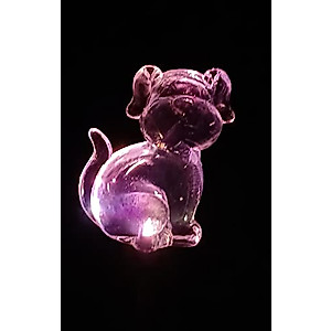 Starry Illuminate 2 PCS Solar Color Changing Cat Kitty Style Garden Stake Light