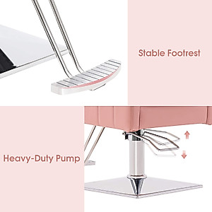 BarberPub Salon Chair for Hair Stylist,Hydraulic Barber Styling Chair, Beauty Spa Equipment 8821 (Pink)