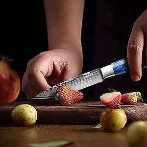 SUDUN Professional Paring Knife 3.5 inch Small Kitchen Knife Ultra Sharp German Stainless Steel 7Cr17Mov Fruit and Vegetable Cutting Chopping Knives - Full Tang Ergonomic Handle