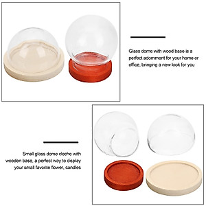 ULTECHNOVO 2pcs Glass Dome Glass Cloche Clear Display Case Cloche Dome Small Display Case Display Cases for Collectibles Glass Case for Display Figures House Decorations for Home Match Cloche