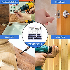 WELLOCKS Drywall Screws 215 PCS M4×25mm to 70mm Wood Screws Self Tapping Assortment Steel Black Bugle Head Coarse Phillips Sharp Point Fast Drilling for Home Handmade Repair Installation(D179)