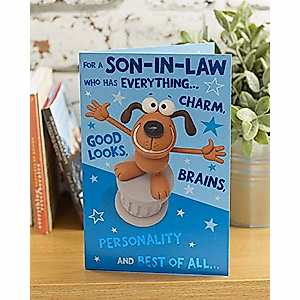 Cute Funny Son-In-Law Birthday Greeting Card Crackers Range Cards New