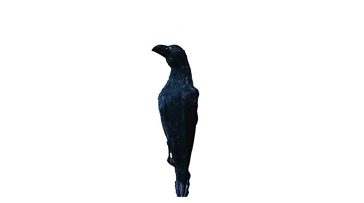 22-Inch Realistic Dead Crow Decoy for Crows Halloween Decor