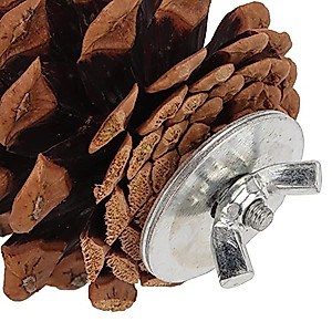 AUHX Pine Cone Chewing Bird Toy, Parrots Chewing Pine Cones Bite Resistant Multifunction for Conure for Cockatiel