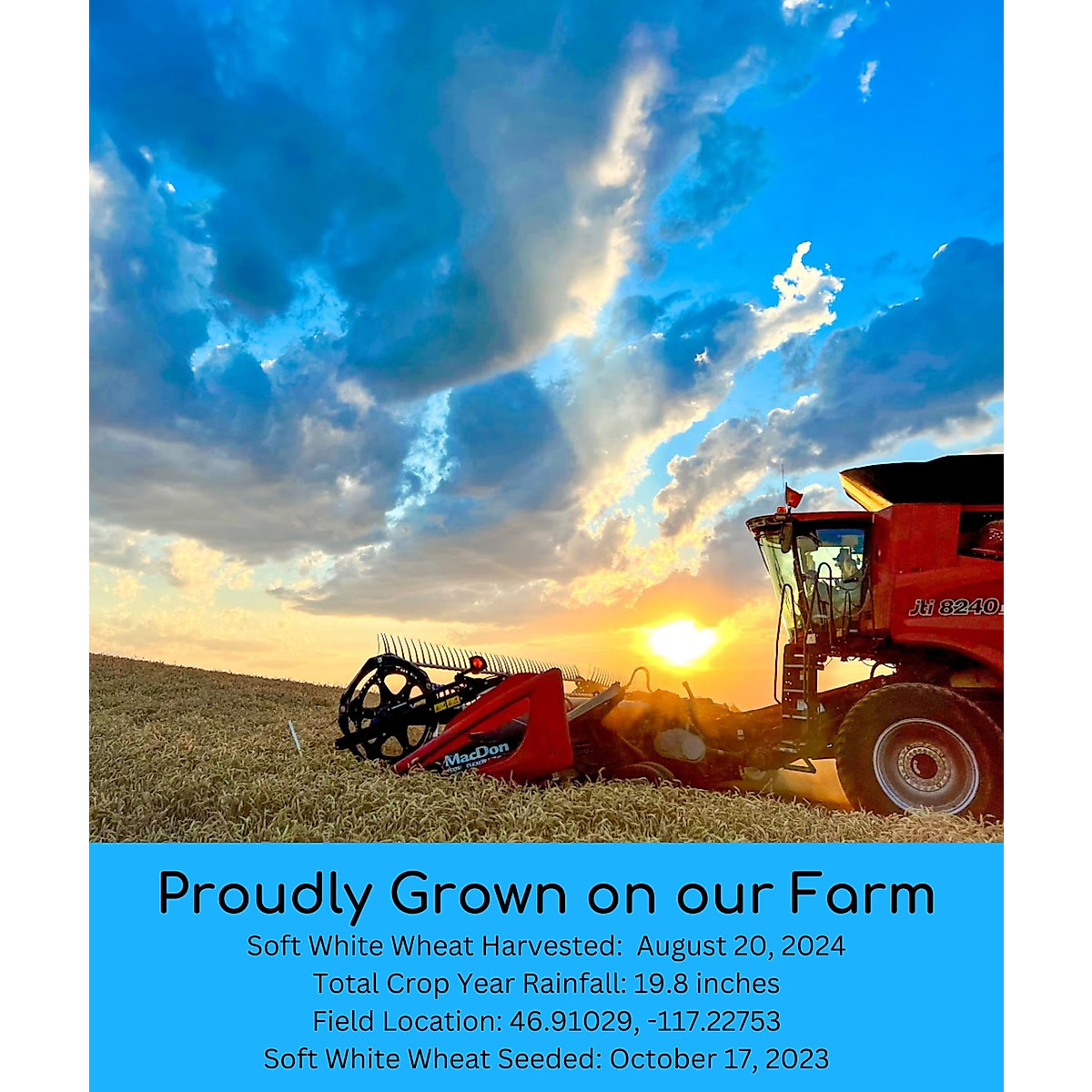 Certified Glyphosate Residue Free Soft White Wheat Berries | 100 LBS | Desiccant Free | Sproutable | Non-GMO Project Verified | Kosher