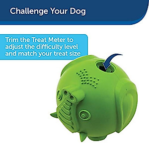 PetSafe Busy Buddy Elephunk Dog Chew Toy - Treat Dispenser - Medium/Large