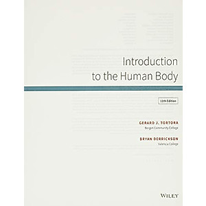 Introduction to the Human Body