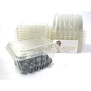 Katgely Vented Pint Plastic Berry Containers for Grape Tomatoes & Blueberries (Pack of 50)