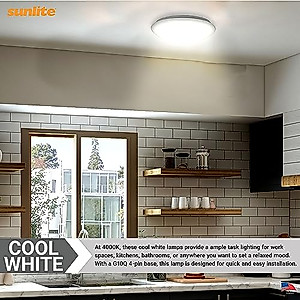 Sunlite 41316 FC8T9/CW 8-Inch T9 Round Fluorescent Circline Lamp, 22 Watts, 1250 Lumens, 4100K Cool White, G10Q 4-Pin Base, 1 Pack