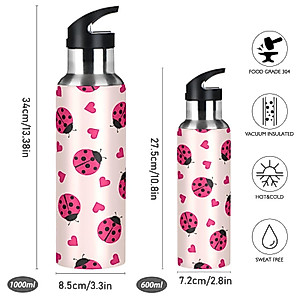 KEEPREAL Cute Ladybug Water Bottle with Straw, 22 OZ Sports Water Bottle BPA Free Stainless Steel Water Jugs for Gym, Travel, Working, Outdoor