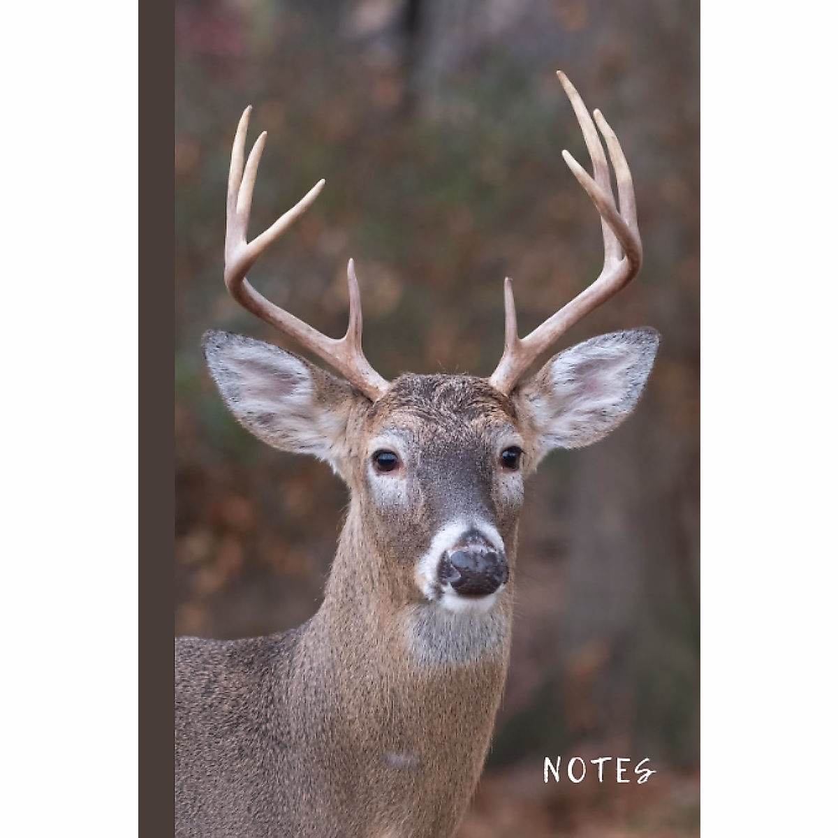 Notes: Hardcover / Password Book Cleverly Disguised With Beautiful Design / Deer Buck - Animal Art / Discreet Internet Username and Website Login ... / Great Senior Citizen Gift For Women Men