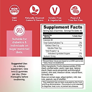 Yum-Vs - Prebiotic Fiber Gummies for Adults & Kids - 5g Digestive Aid Gummy Fiber Supplement - Keto Friendly Prebiotic Daily Fiber Supplement for Women & Men - No Sugar Added Dietary Fiber (90 Count)