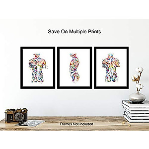 Modern Human Anatomy Room Decorations - Gift for Doctor, Nurse, Physicians Assistant, RN - Room Decor Wall Art Set for Medical Office, Home, Apartment, Living Room - Set of 3-8x10