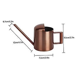 Eioflia Mini Watering Can,Watering Can Small,Stainless Steel Small Watering Pot with Long Spout Long Spout Bonsai Mini Watering Can for Kids Nursery Bonsai Indoor Houseplant (Silver)