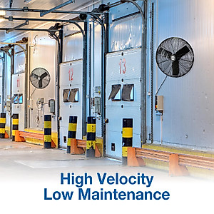 Air King 9035 30-Inch Industrial Grade Oscillating Wall Mount Fan, 1/4-Horsepower, Black Finish