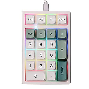 EPOMAKER TH21 21 Keys Hot Swappable Mechanical Gaming Numpad, 3 Modes(2.4Ghz/Bluetooth 5.0/Wired) Programmable RGB Numeric Keypad with PBT Keycaps for Win/Mac (Botanic Garden, Flamingo Switch)