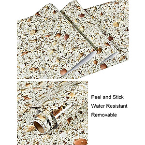 HDsticker Self Adhesive Vinyl White Beach Shell Marble Granite Contact Paper for Kitchen Countertop Table Desk Walls Furniture Decal Removable Waterproof 15.7X117 Inches, Multicolor