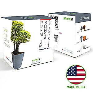 Bonsai Tree Seed Starter Kit. Bonsai Pot Included. Indoor & Outdoor DIY Beginners Easy Grow Craft & Hobby Gardening Set for Women & Men of All Ages. Unusual Housewarming Gift for Plant Lovers
