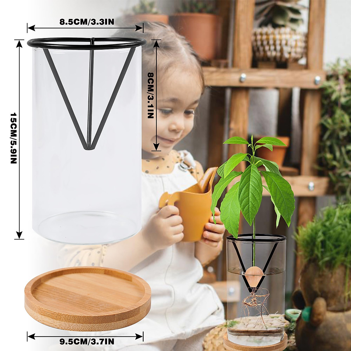 Bylion Avocado Tree Growing Kits, Avocado Growing Vase Wooden Base Avocado Seed Starter Vase Glass Plant Pot Easy Seed Sprout Starter Gift for Women Gardening Lovers Home Office Table Decoration