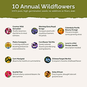 Eden Brothers Country Garden Flower Mixed Seeds for Planting, 5 lb, 2,400,000+ Seeds with Scarlet Flax, Cosmos Sensation | Attracts Pollinators, Plant in Spring or Fall, Zones 3, 4, 5, 6, 7, 8, 9, 10