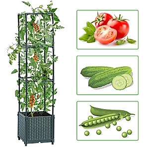 LINEX Raised Garden Bed Planter Box with Trellis, 41.3” Tomato Planters for Climbing Plants Vegetable Vine Flowers Outdoor Patio, Tomatoes Cage w/Self-Watering