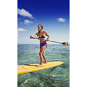 Garmin vívoactive HR GPS Smart Watch, Regular fit - Black