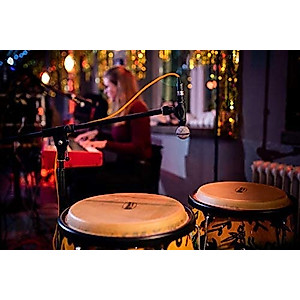 Beyerdynamic M160 Double Ribbon Microphone - Hypercardioid, Wired, Wireless